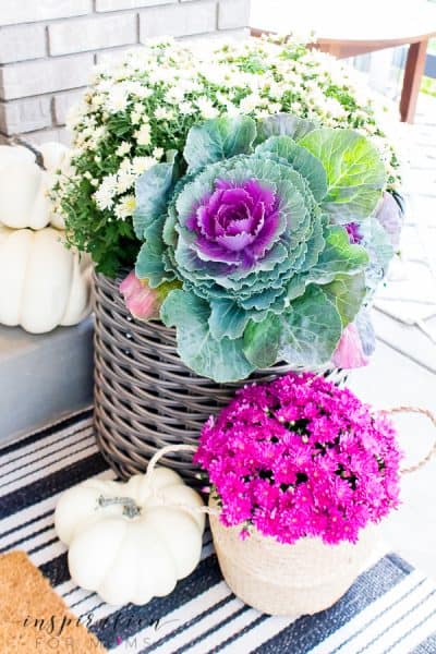 Easy Spring Centerpiece with Potted Plants - Inspiration For Moms