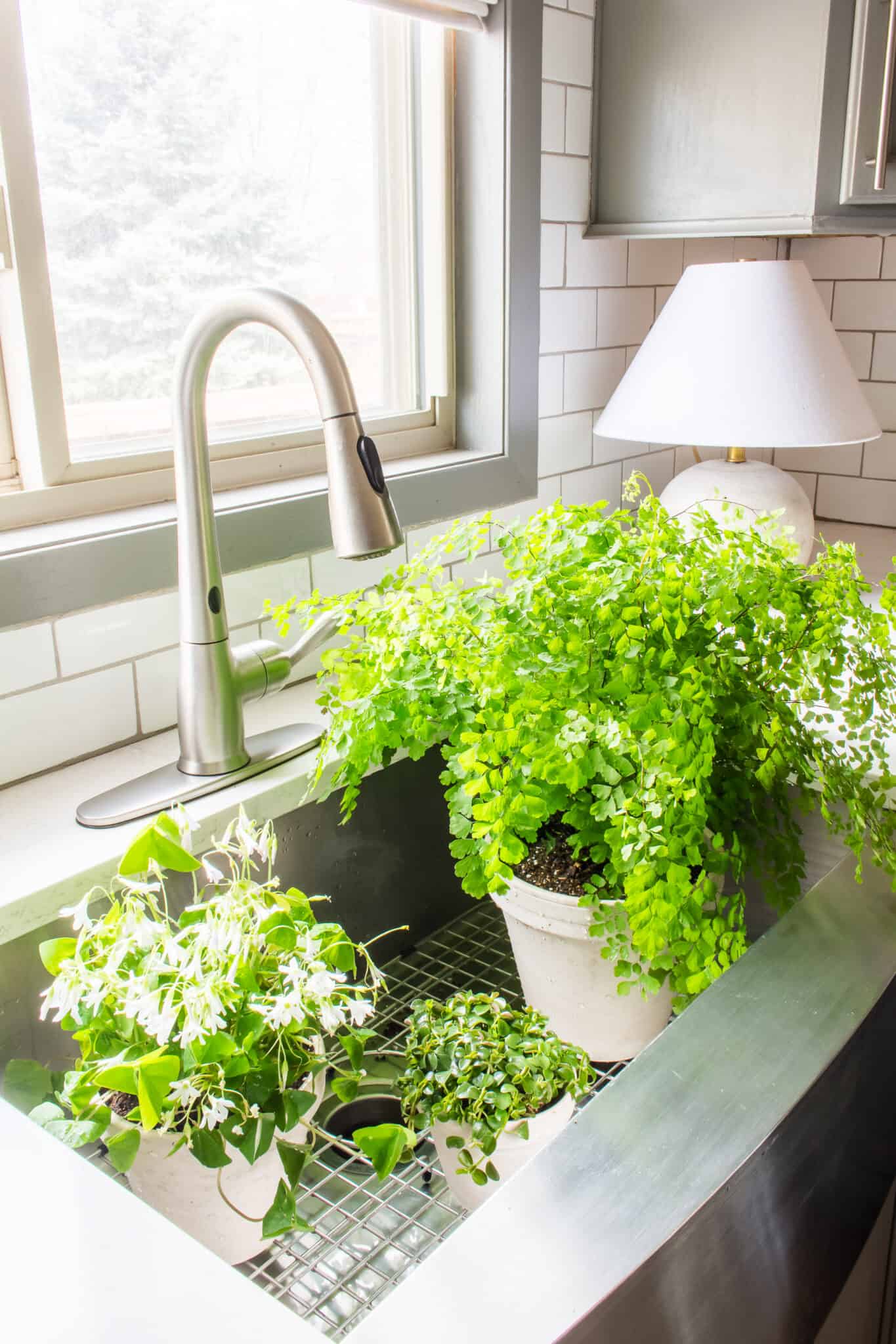 Easy Spring Centerpiece with Potted Plants - Inspiration For Moms