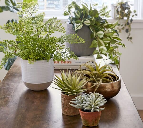 The Best Fake Plants That Look Real - Inspiration For Moms
